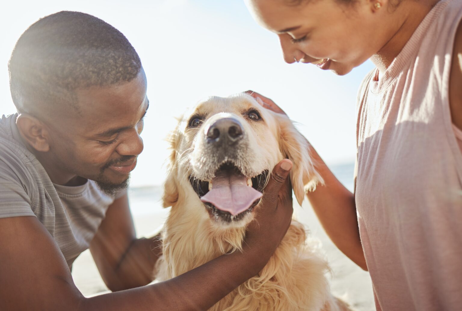 American Animal Hospital | Veterinarians in Randolph, NJ